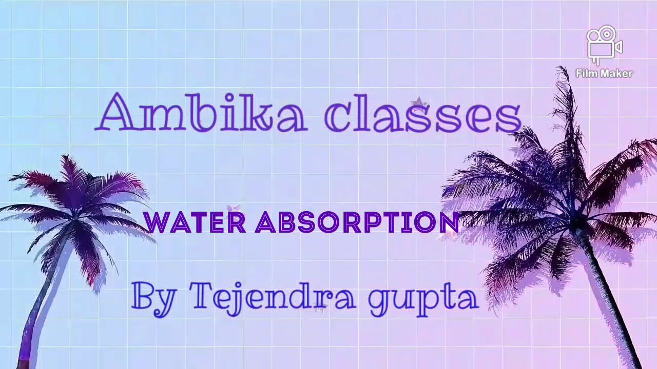 Water absorption part 2 Biology - YouTube