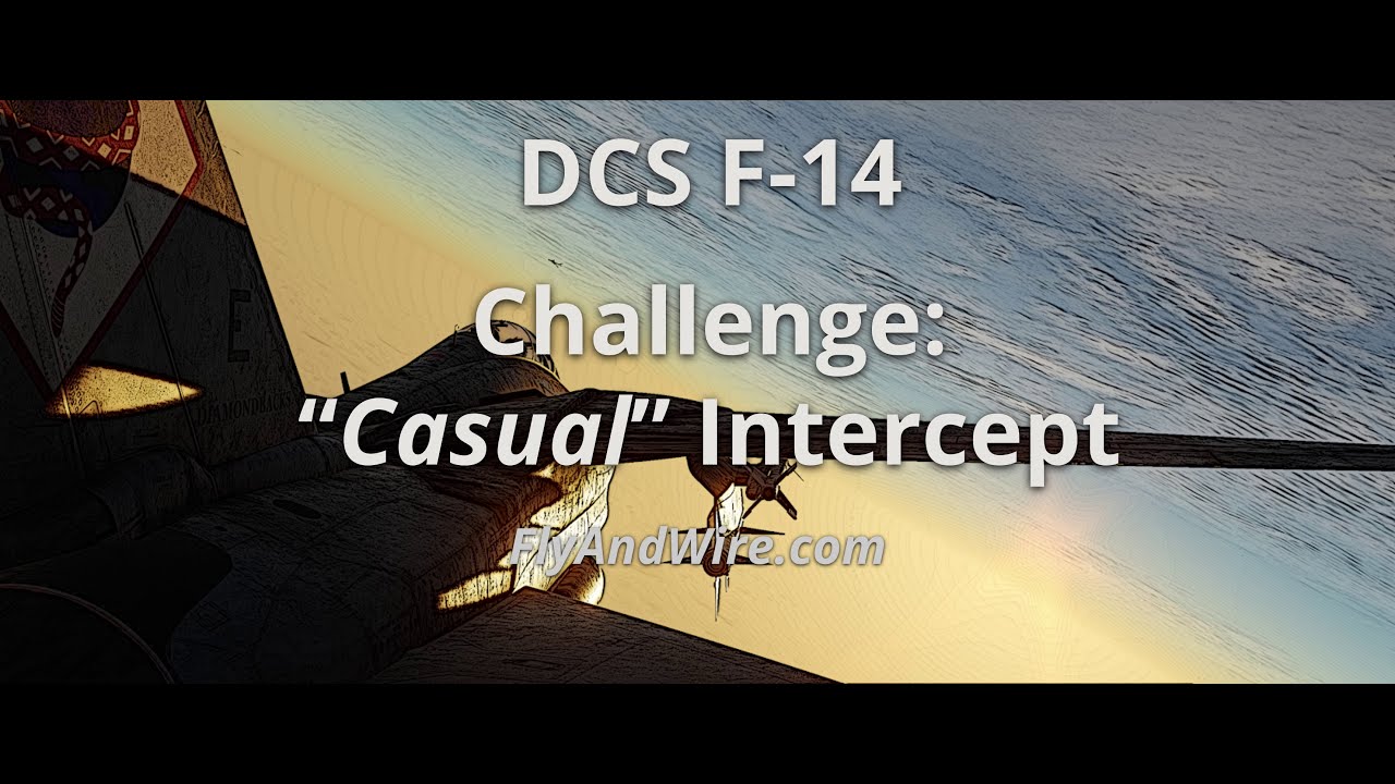 DCS F-14: Simplified intercept for Casual and New players ( "Casual ...