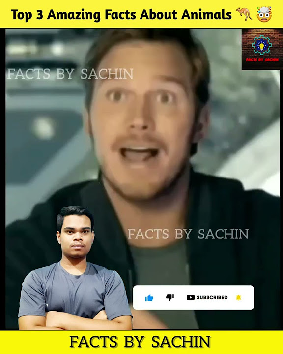 3 Amazing Facts About Animals 🤯। Top 3 Amazing Facts। Mind Blowing ...