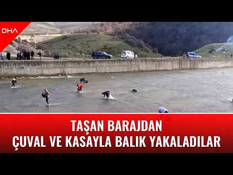 Taşan barajdan çuval ve kasayla balık yakaladılar