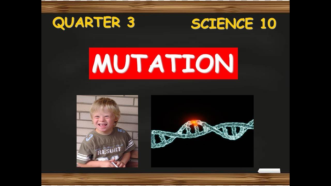 MUTATION/TYPES OF MUTATION/SCIENCE 10/Q3 - YouTube