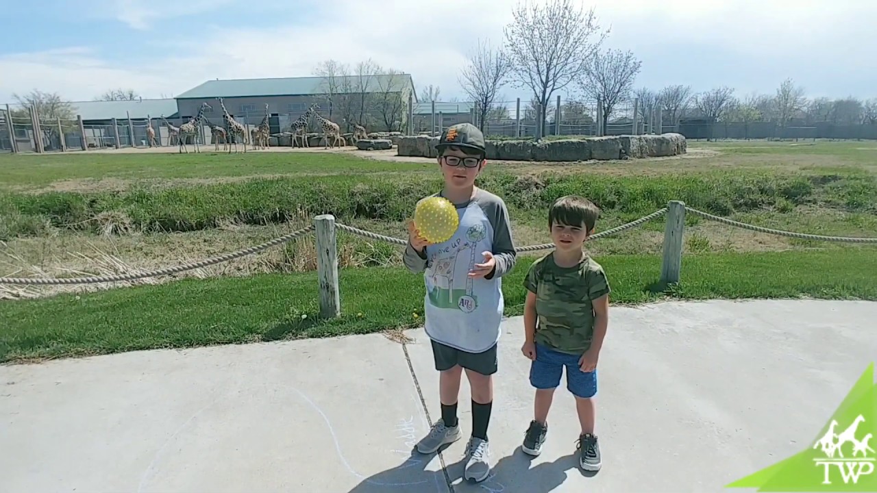 Penguin Obstacle Course - YouTube