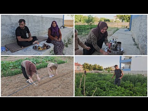 GÜNLÜK KÖY HAYATI NELER YAPTIK✅️KORNİŞON ACUR EKTİM✅️SEMAVER KEYFİ✅️SEBZELİ MAKARNA✅️