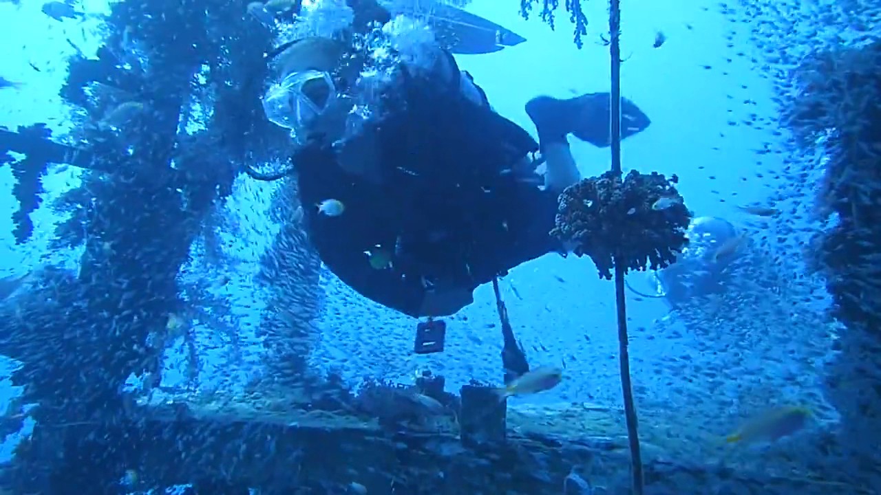 Taglit Birthright Israel Underwater May 2015 - Wreck of the Satil in ...