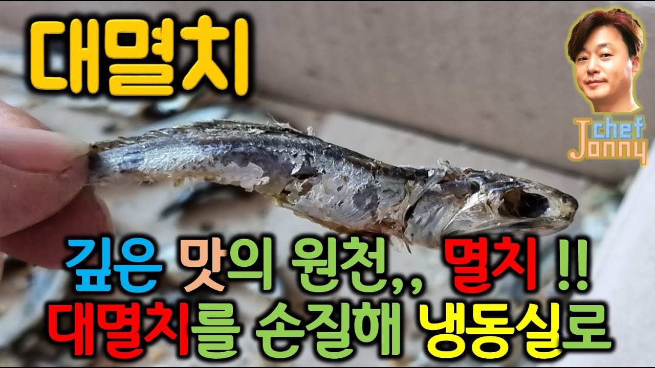 Jonny Chef - 대멸치,, 한식 요리의 깊은 맛을 책임지는 멸치,,, 대멸체를 사서 손질해 보자,,, 냉동해 두고 육수를 ...