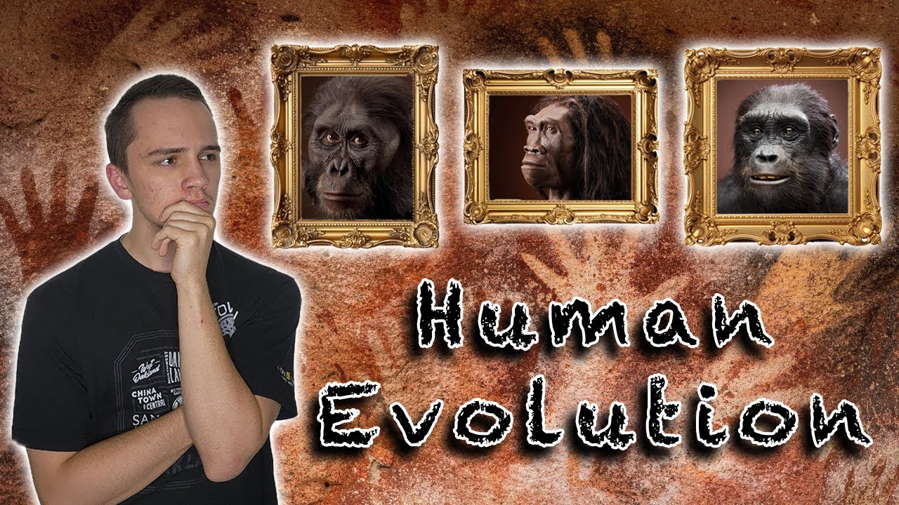 Human Evolution is Weird - YouTube