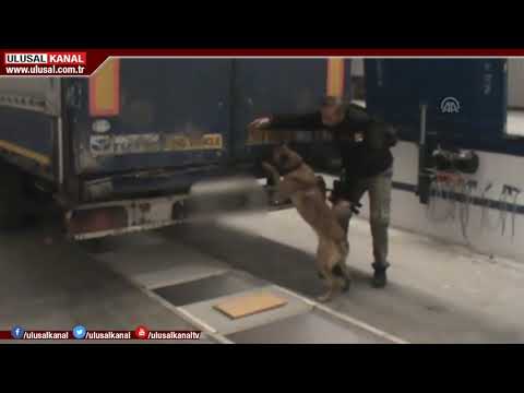 Sarp Sınır Kapısı'nda operasyon