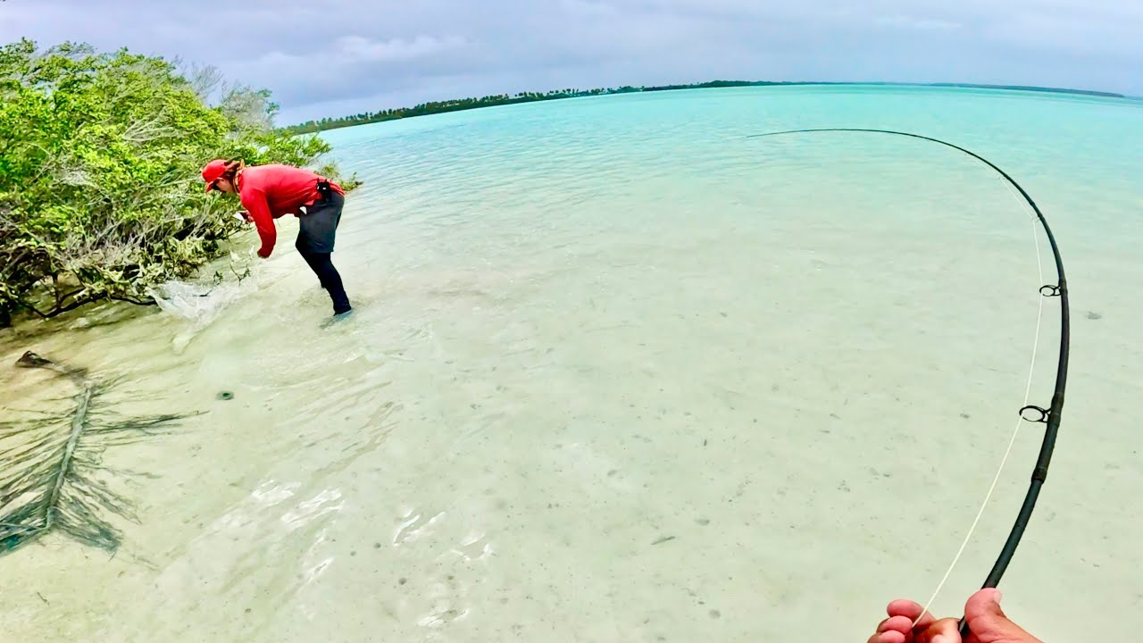 Big Fish in Shallow Water - YouTube