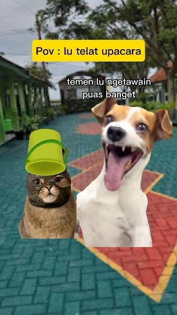 Telat upacara gara gara bapak #catlover #kucing #kucinglucu # ...