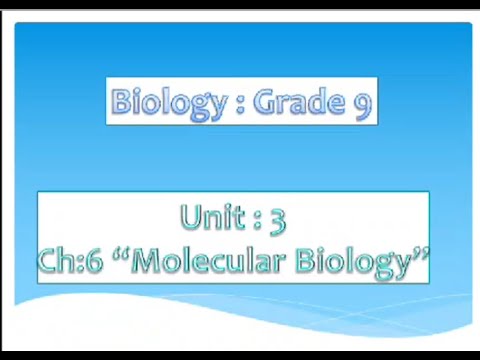 Ch# 6 | Molecular Biology - YouTube