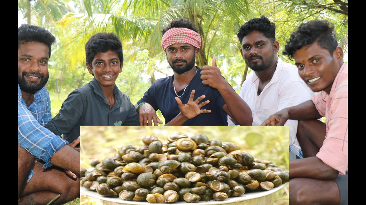 SNAIL COOKING/naththai samaiyal in tamil/ madurai village chefs ...