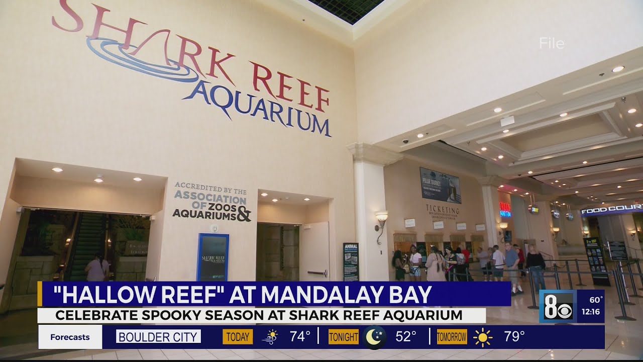 Haunted Shark Reef Mandalay Bay