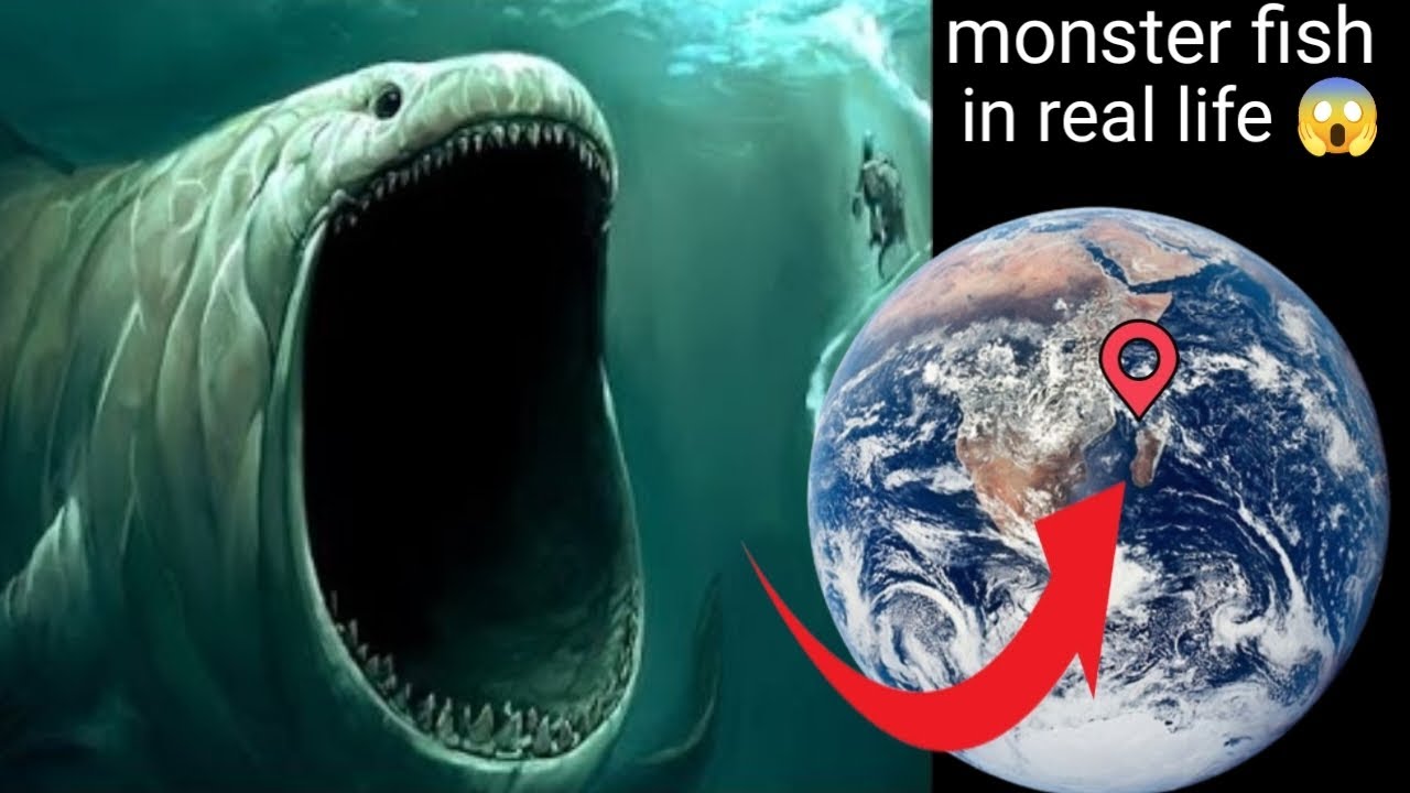 I found monster fish in real life Google Earth shockingmap - YouTube