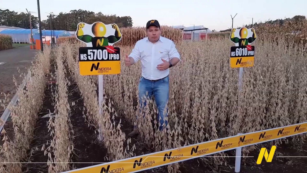 NIDERA SEMENTES - Dia de Campo Virtual NS 5700 IPRO - YouTube