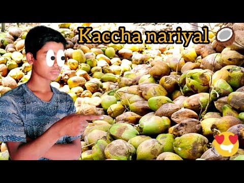 kaccha nariyal 🥥 | How to make a coconut 🥥 | - YouTube