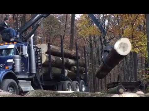 Load em’ Up, Move em’ Out - YouTube