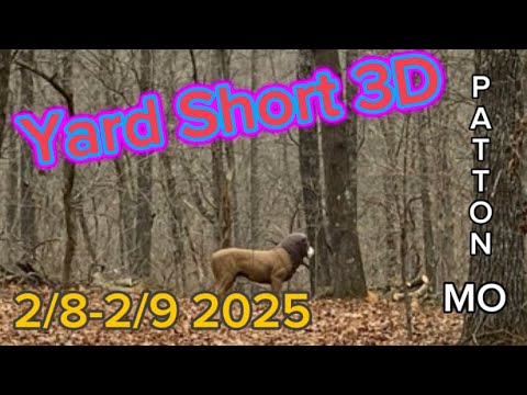 Yard Short 3D Archery Range February Shoot Preview - YouTube