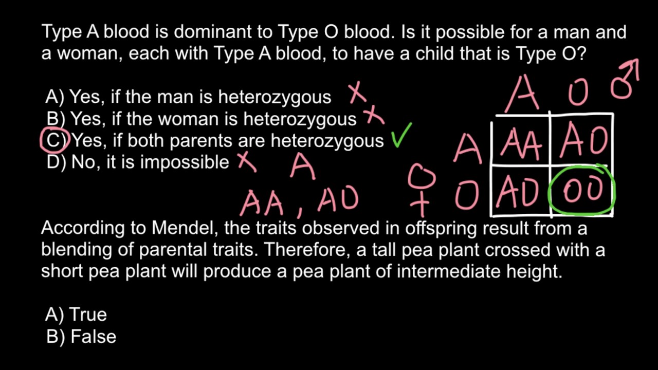 Simple ABO blood group problem - YouTube