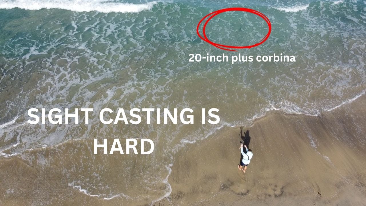 Sight Casting for Corbina - Catching Something Else - YouTube