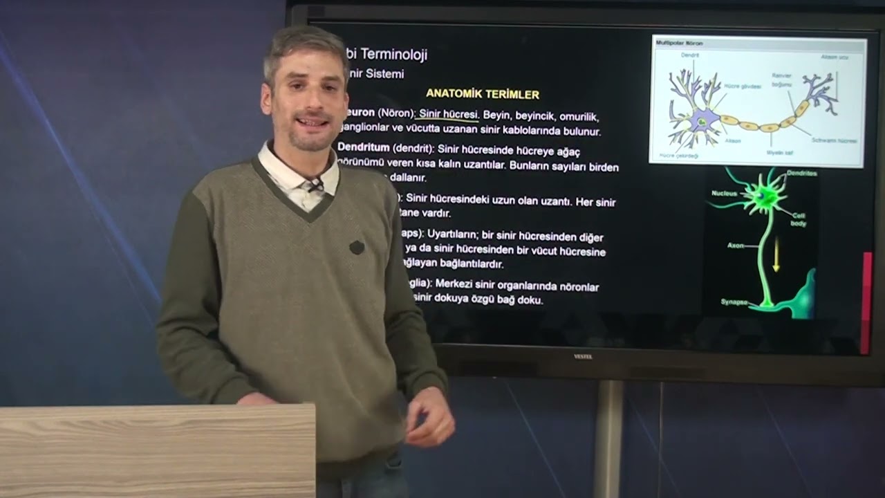Tıbbi Terminoloji SİNİR SİSTEMİ Konu Anlatımı (Tek Part) / Raif Mert ...