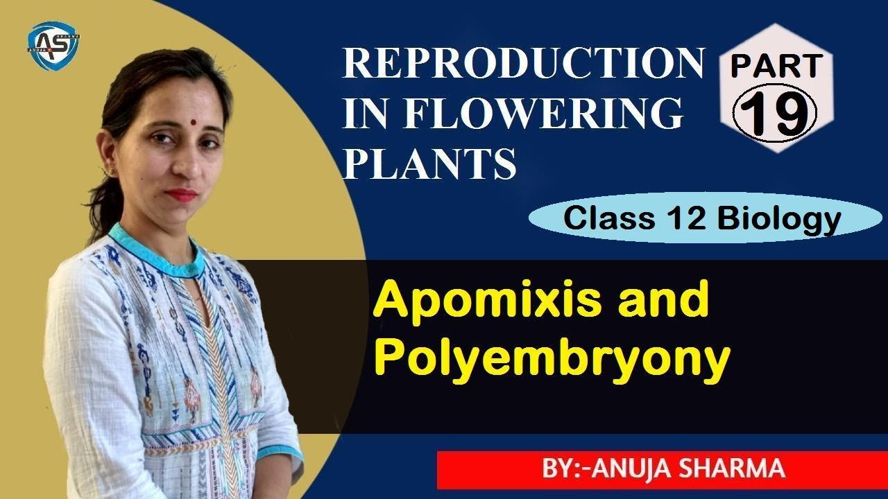 REPRODUCTION IN FLOWERING PLANTS- APOMIXIS AND POLYEMBRYONY - YouTube