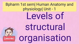 Levels of structural organisation in human body | Doovi