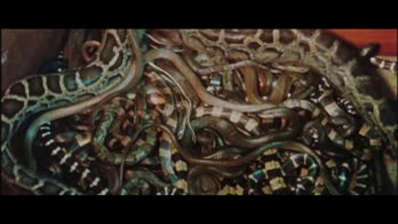 Milleneum - Army of Snakes - YouTube