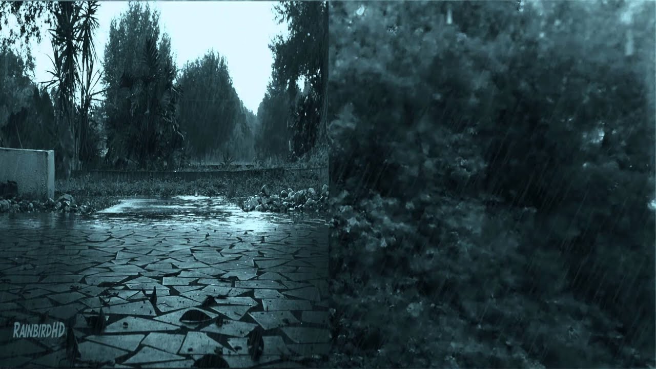 30 Minutes of Rainfall - Very Relaxing - 2 Different Storms 1080p HD ...
