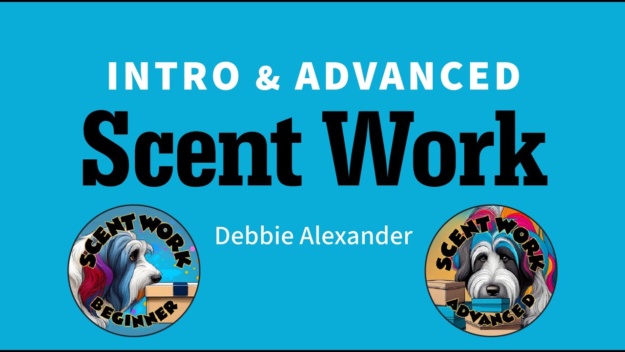 Scent Work Class Intro - YouTube