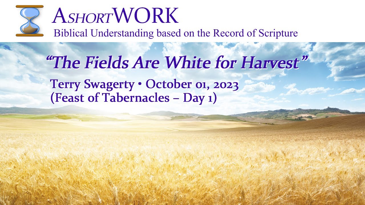 The Fields Are White for Harvest - YouTube