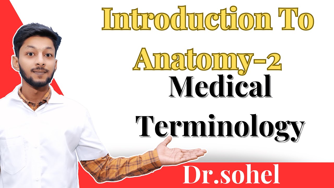 Introduction to Anatomy : Medical Terminology - YouTube