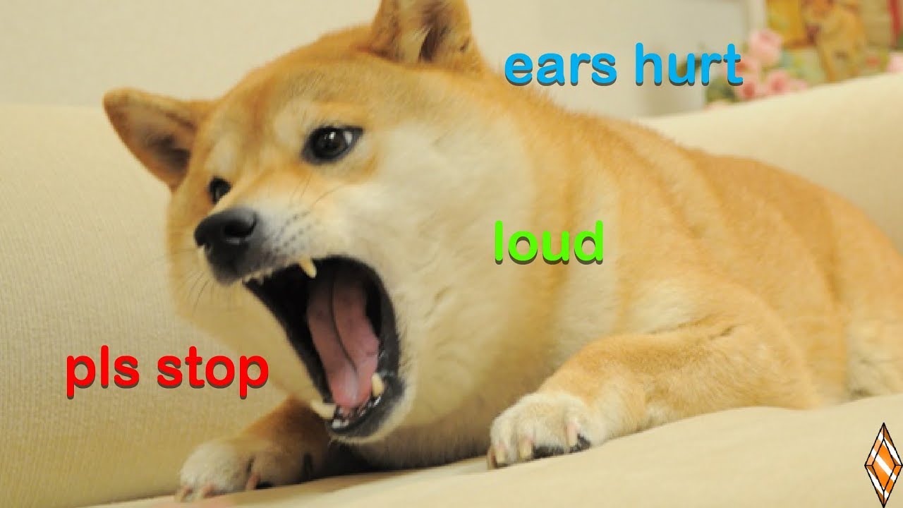 Doge Adventure but it's LOUD!!! - YouTube