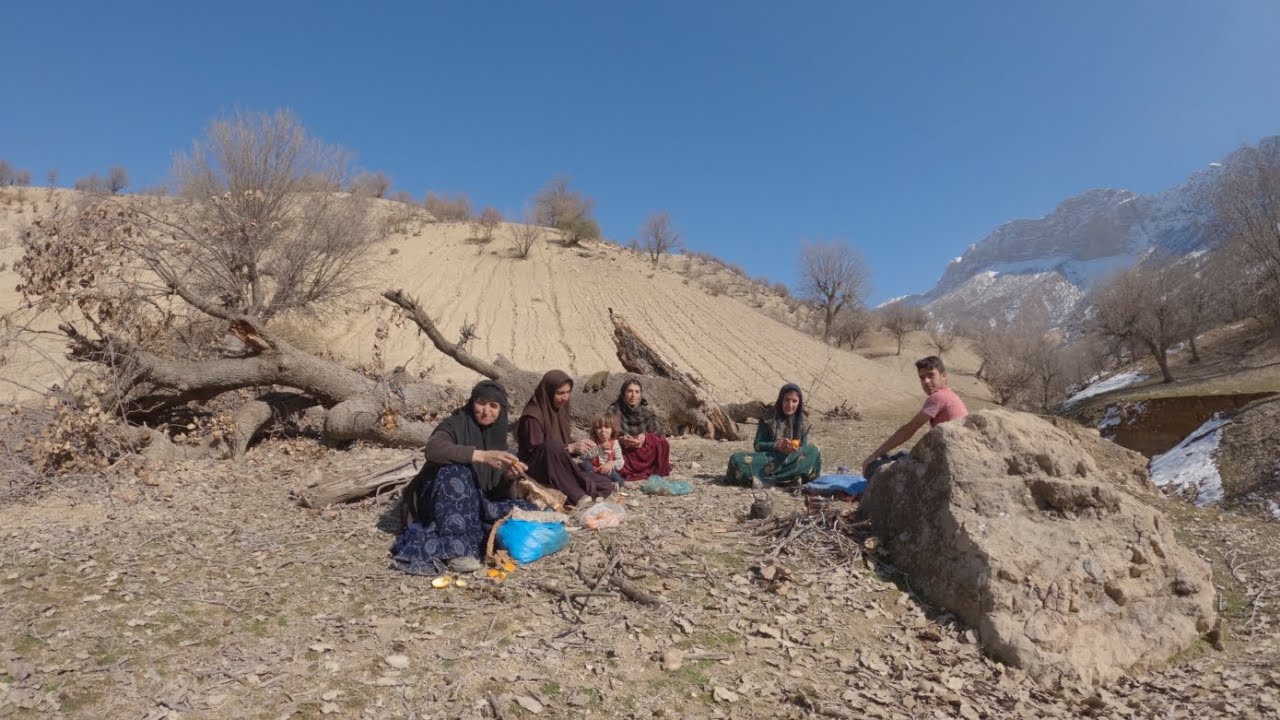 Bringing firewood from a tree that was felled by previous storms.(2023 ...