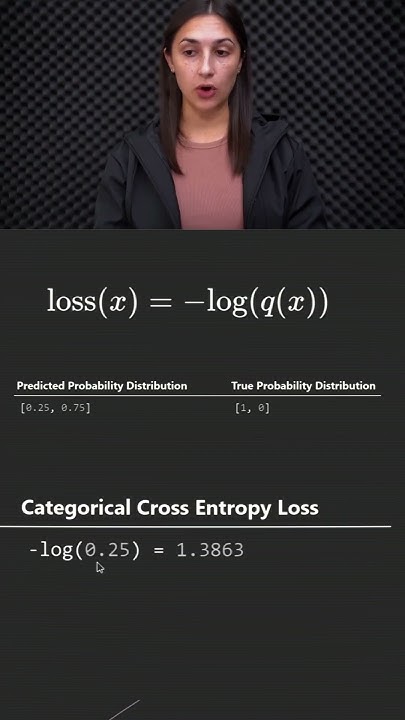 Categorical Cross Entropy Loss (Part 2) 🌟 - Deep Learning Beginner 👶 ...