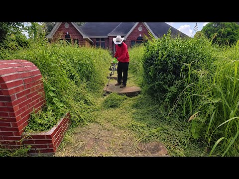 The HOA Couldn’t Handle This Alone… So They Called Us
