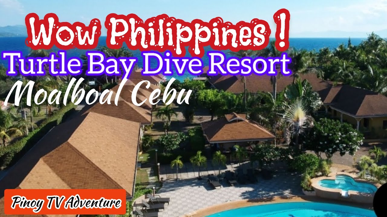The beautiful beach &resort Turtle Bay Dive resort Moalboal Cebu # ...