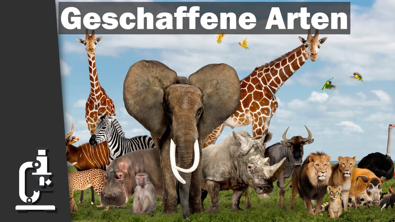 Geschaffene Arten und Grenzen der Evolution: Grundtypen | Dr. Boris ...