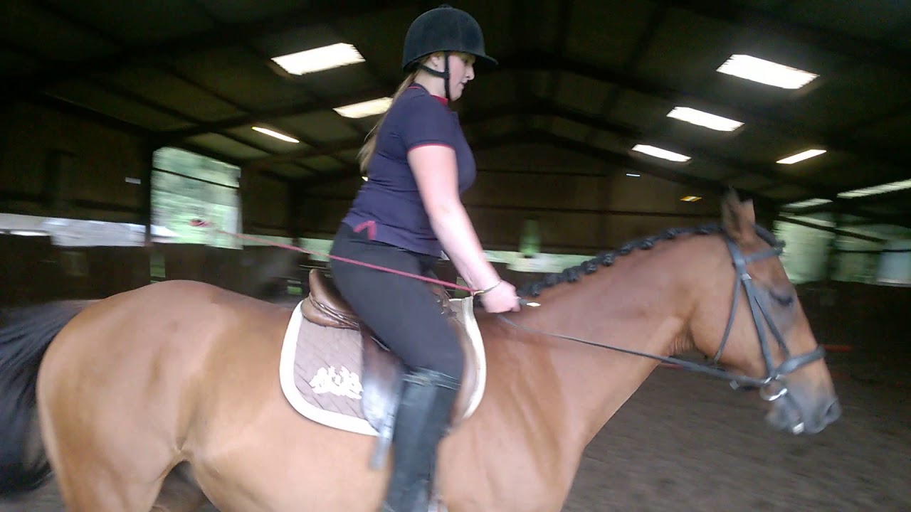 Prix Caprilli Standard 3 for Class ED5 (The Mane Show) - YouTube