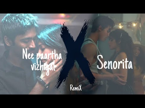 Nee paartha vizhigal X senorita song remix #mashup