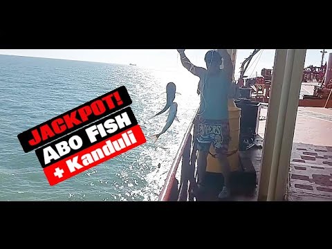 "JACKPOT!" Small & Big Kanduli with Abo Fish😀 ️⚓🇵🇭🚢🐠🐟 - YouTube