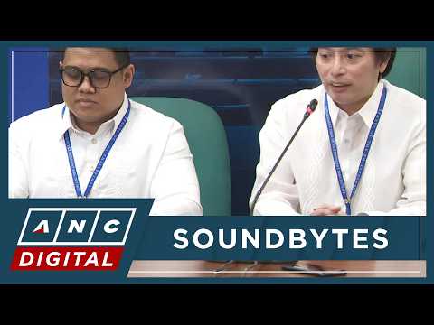 Poa: Justin Gular named VP Duterte defense team's deputy spokesperson | ANC