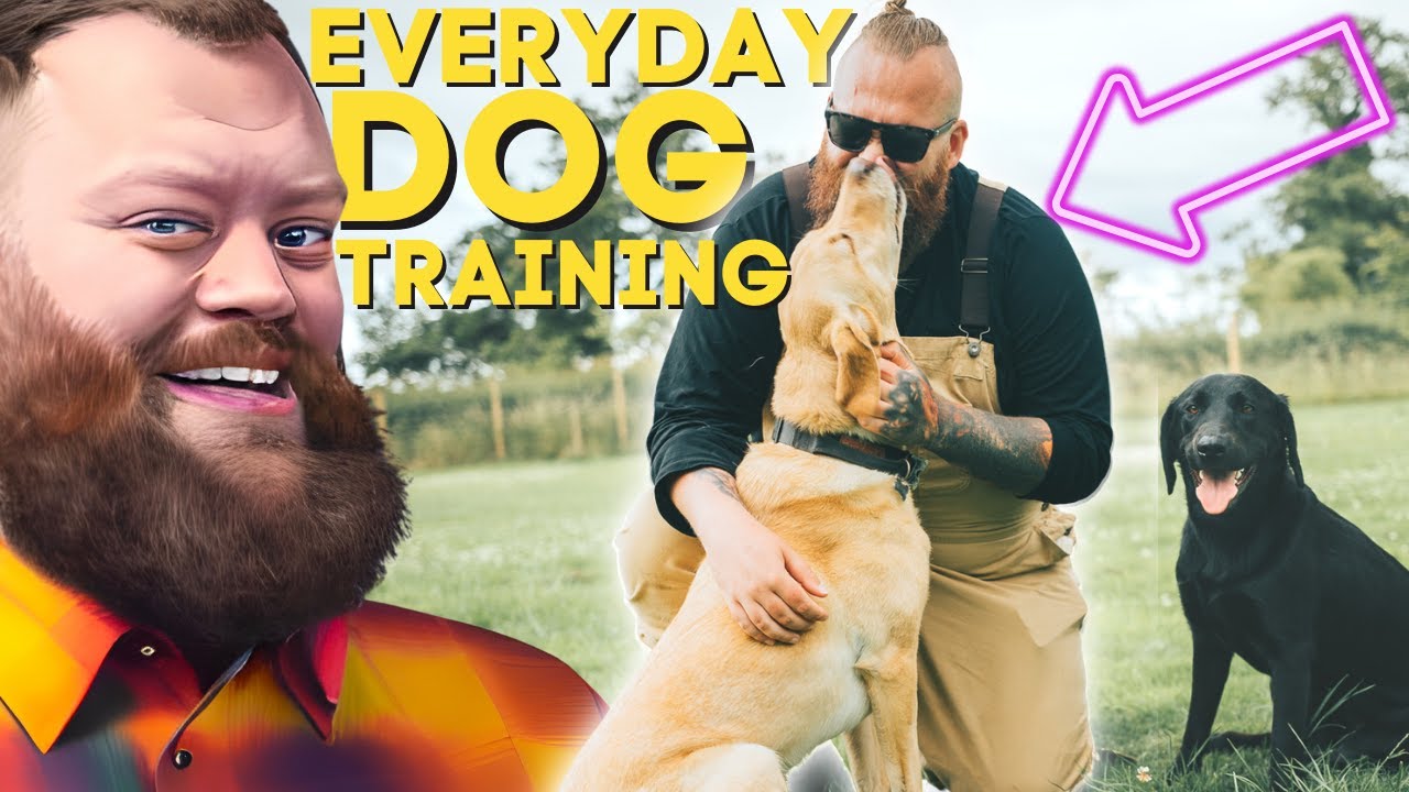 6 Dog Training Exercises You Should Do EVERY DAY Starting NOW! - YouTube