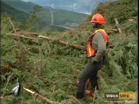 Heli-Logging (5 of 8): Safe Turns - YouTube