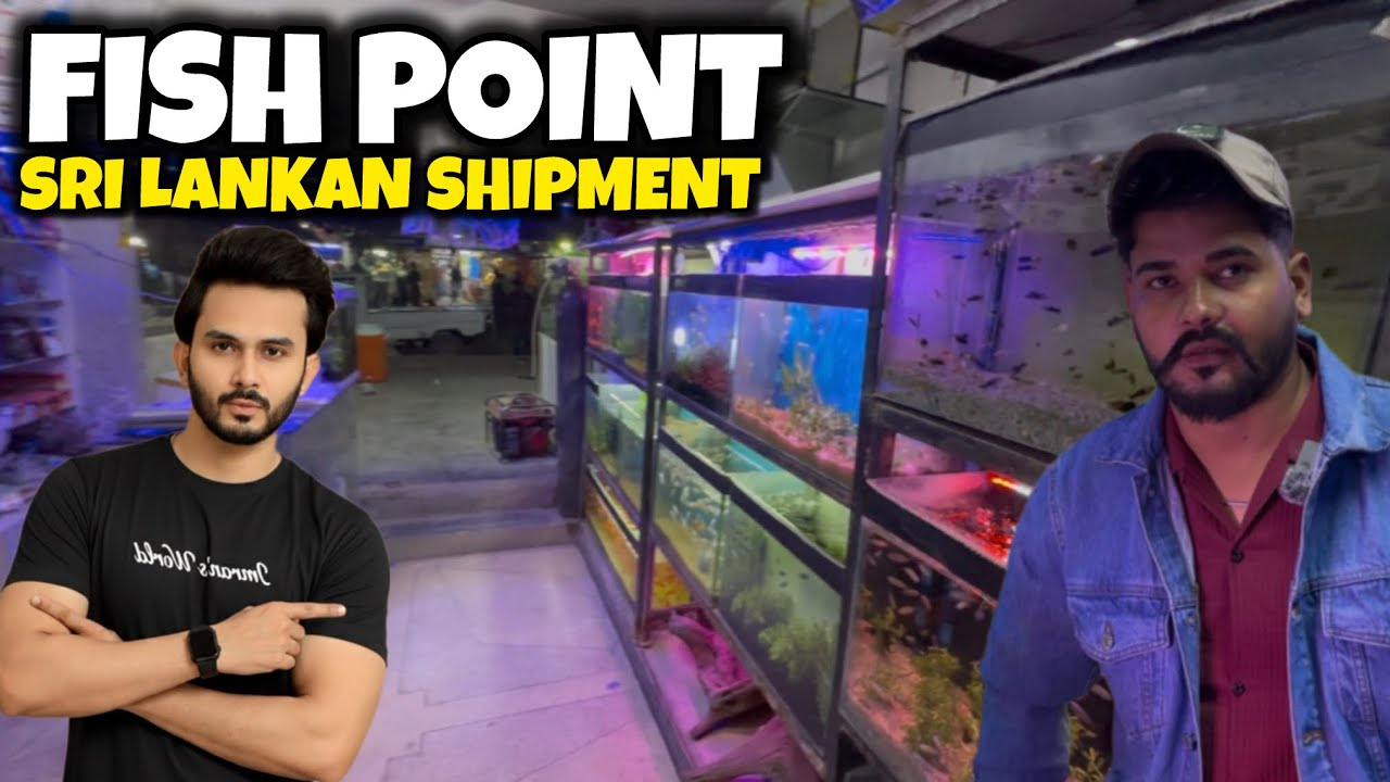 Fish Point Karachi | Small Shipment Fish Stock & Price Update - Imran’s ...