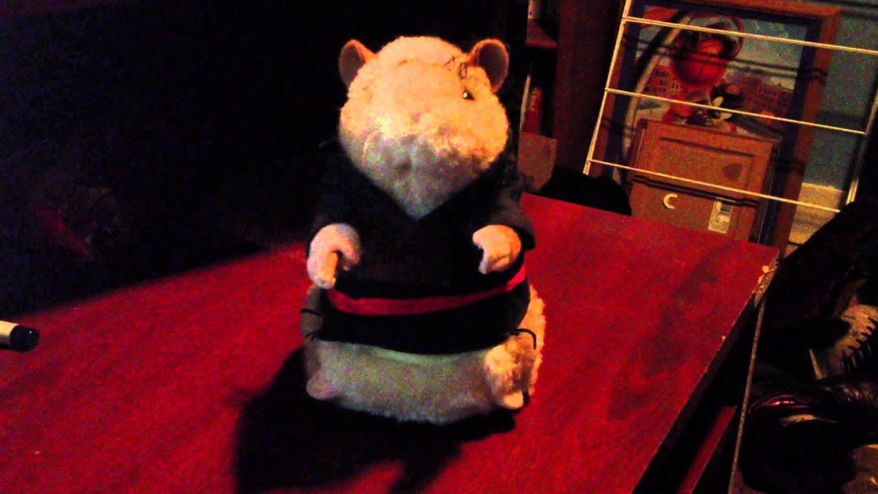 Terrifying Kung-Fu Hamster - YouTube