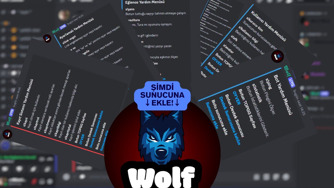 Discord Wolf Bot Tanıtım Sunucusuna Alan İlk 10 kişiye PREMİUM!! - YouTube