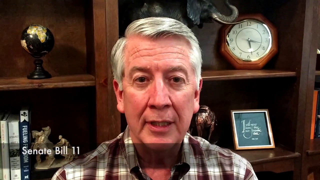 THSC President Tim Lambert Brings a Special Session Update - YouTube