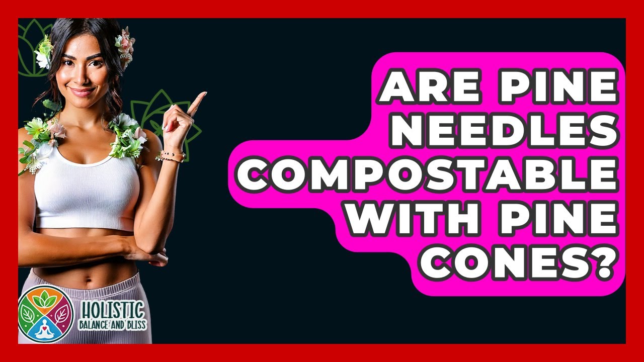 Are Pine Needles Compostable With Pine Cones? - Holistic Balance And ...