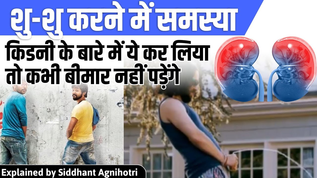 How to save your Kidney || All about Kidney - YouTube