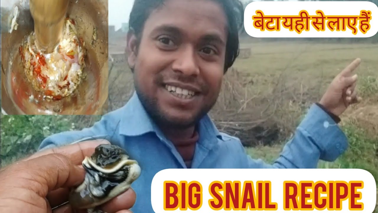 Big Snail Recipe || world Famous snail cooking process - YouTube